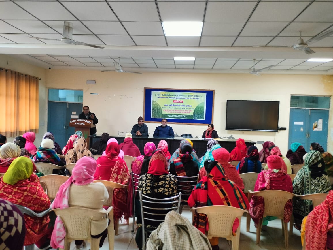 SCSP Training Program – iiwbr